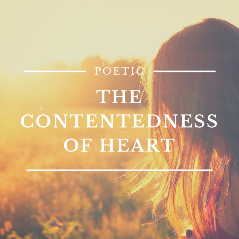 The Contentedness of Heart – The Writing Portfolio of Daren M. Stottrup